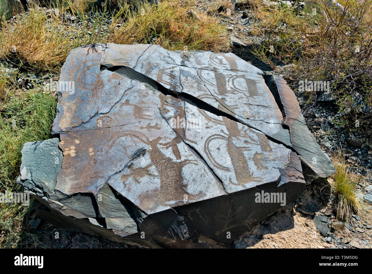 Tamgaly petroglyph hi-res stock photography and images - Alamy