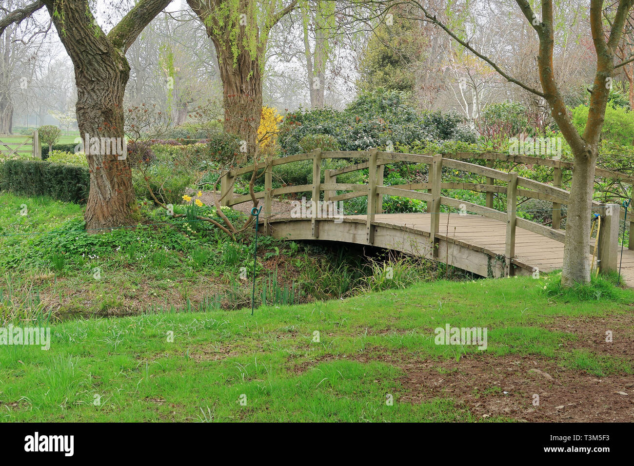 A bridge in the woodland Stock Photo - Alamy