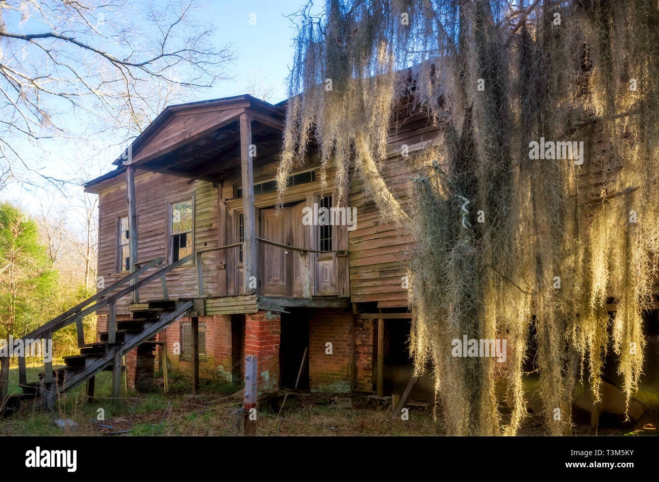 The dilapidated remains of the Fambro Arthur home are pictured, Feb. 7 ...