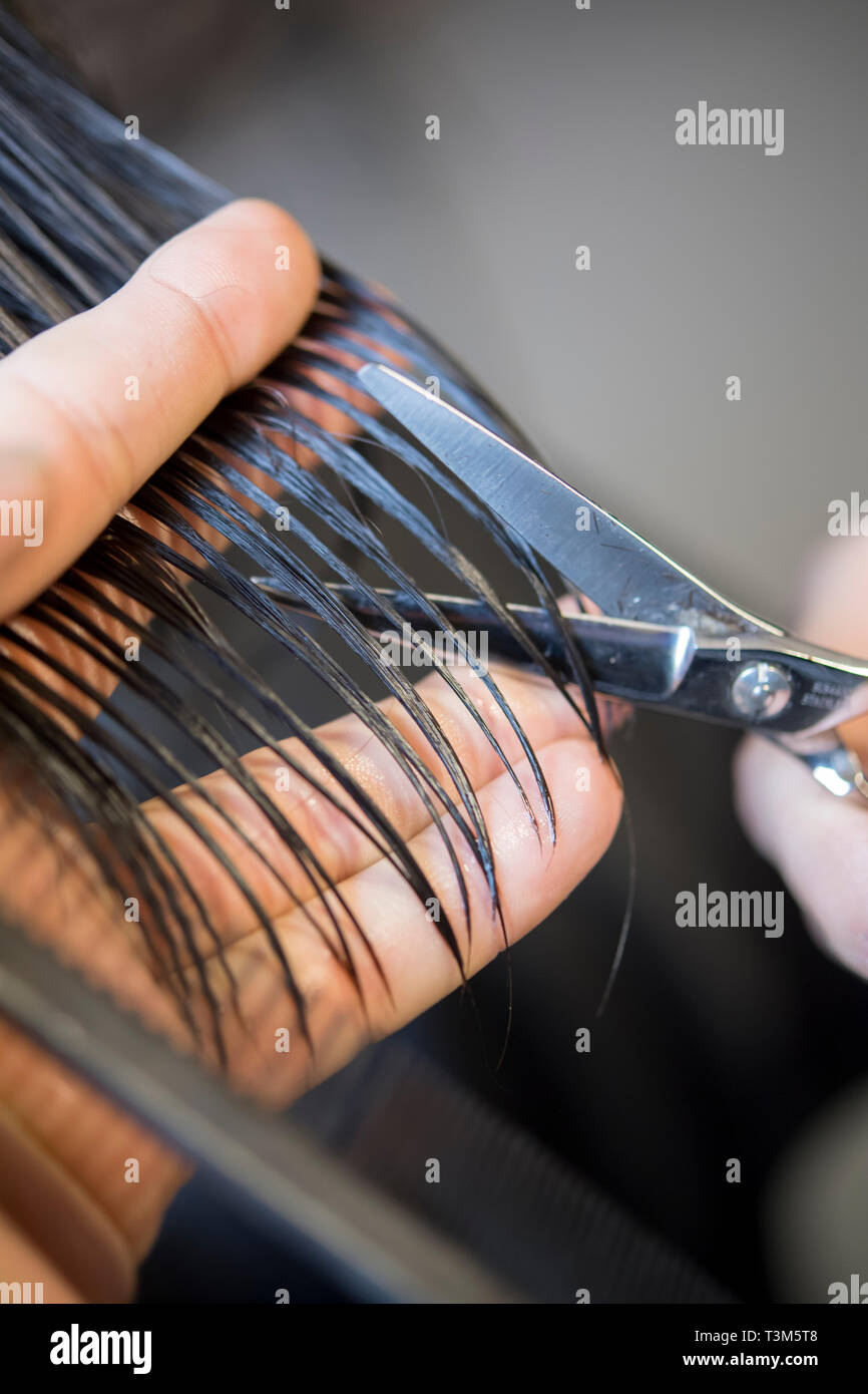 Woman having haircut hi-res stock photography and images - Alamy