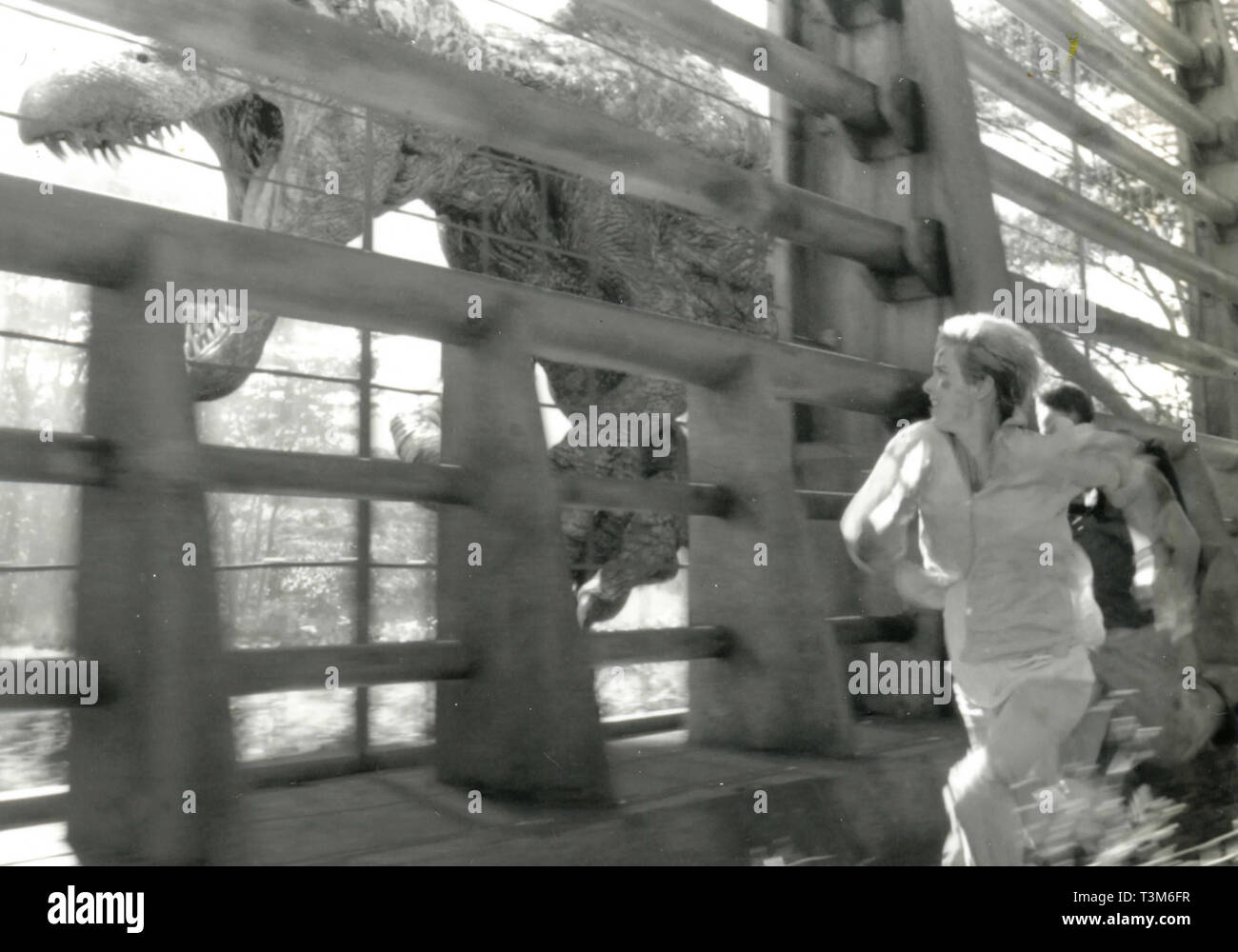 Téa leoni hi-res stock photography and images - Alamy