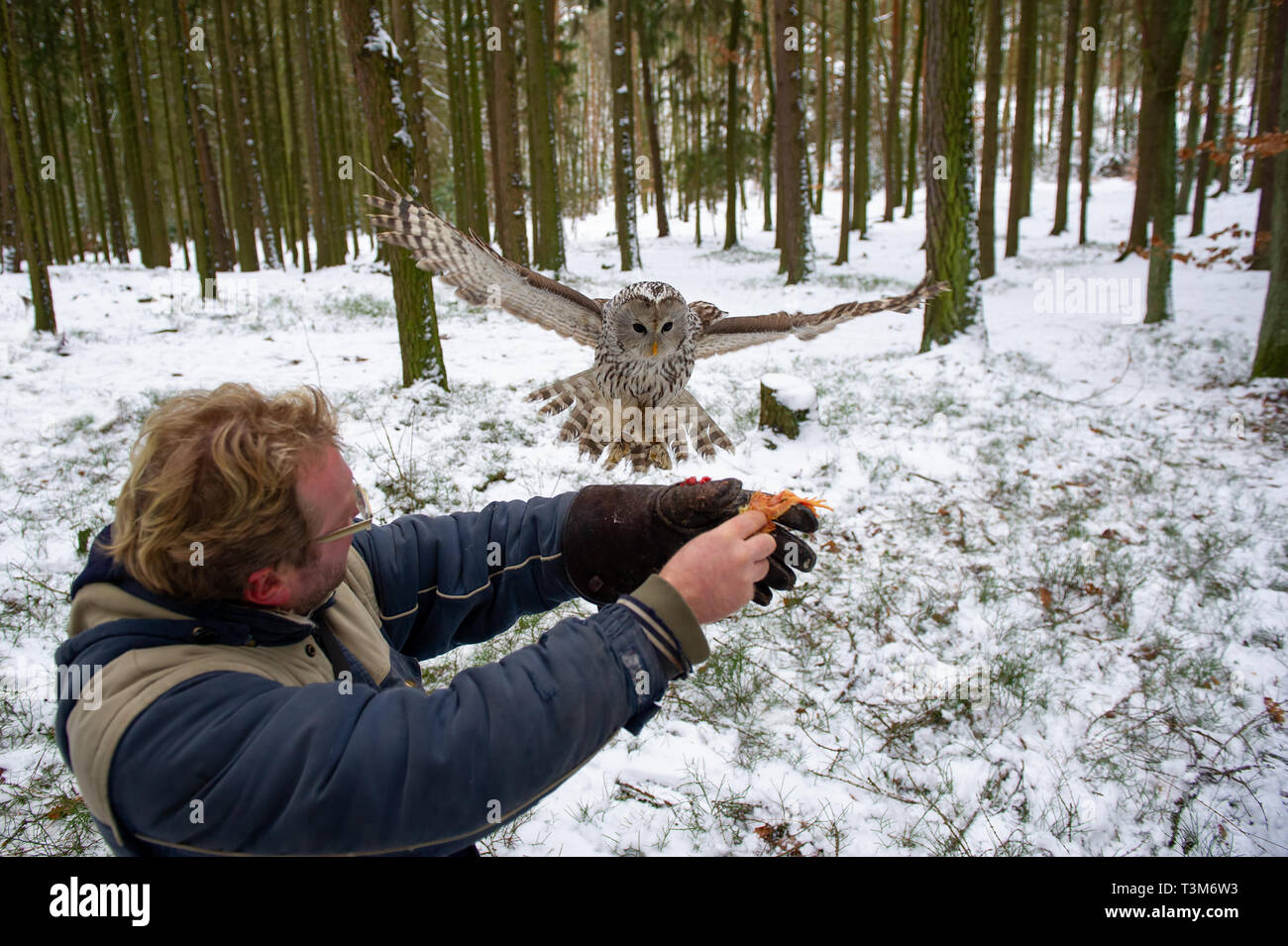 White european man landing hi-res stock photography and images - Alamy