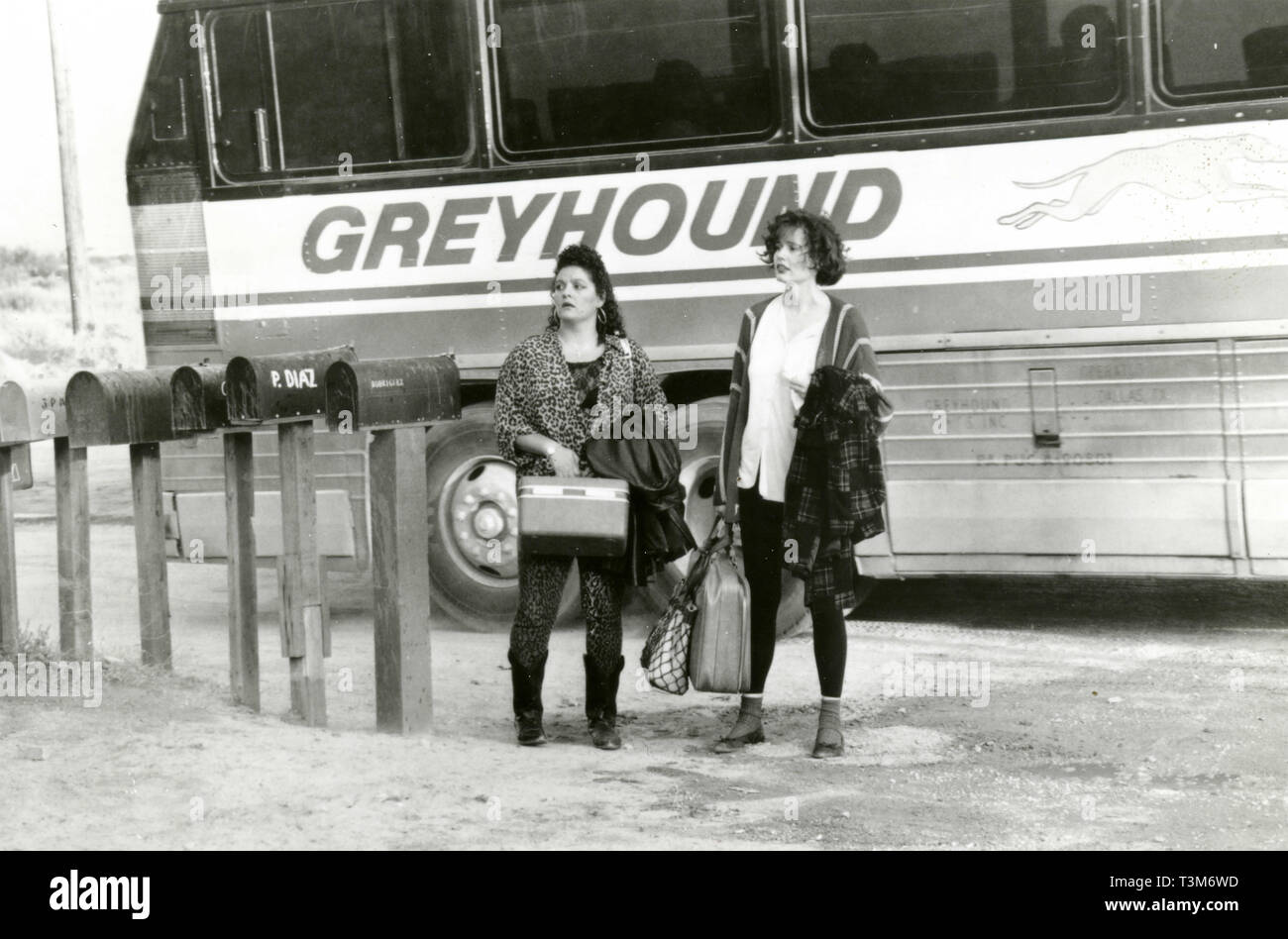 Geena Davis and Aida Turturro in the movie Angie, 1994 Stock Photo - Alamy