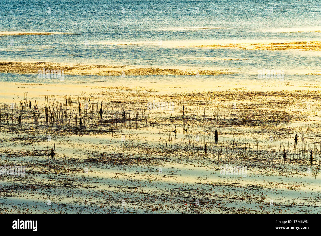 Altyn emel hi-res stock photography and images - Alamy