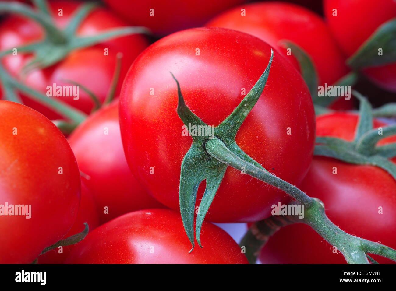 close-up tomato vegetable background. tomato love Stock Photo - Alamy