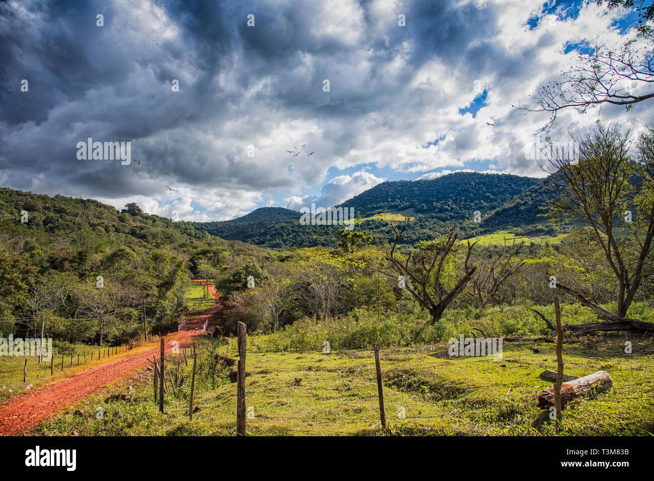 Typical red sand path in Paraguay: here, from the Colonia Independencia ...