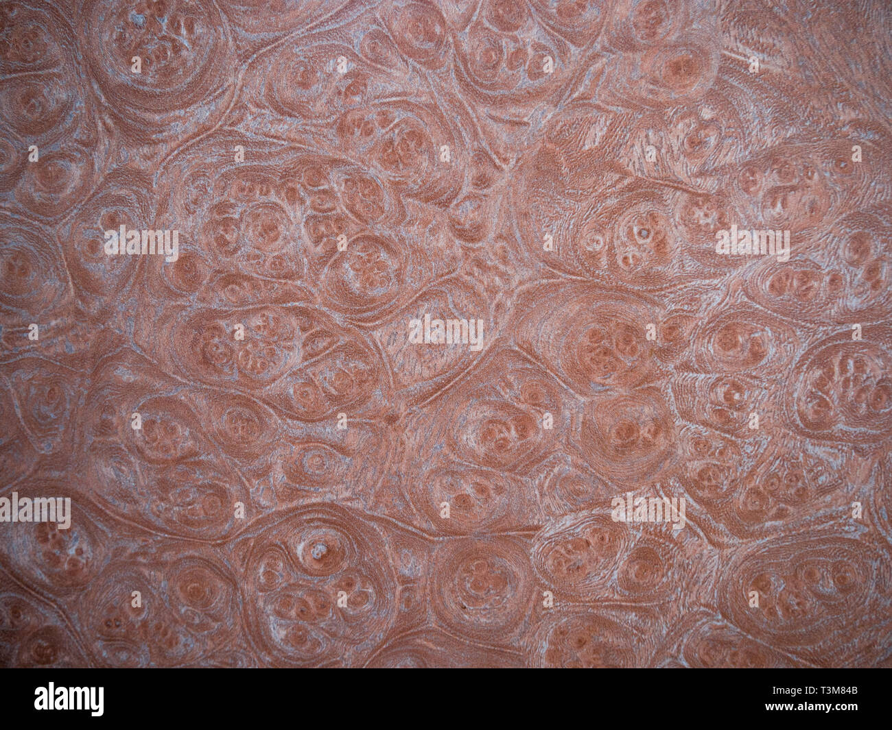 MDF top screen surface texture and wallpaper Stock Photo - Alamy