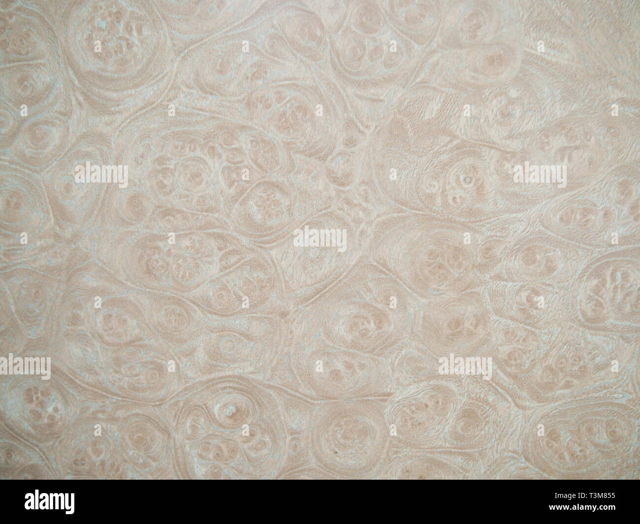 Laminated mdf hi-res stock photography and images - Alamy