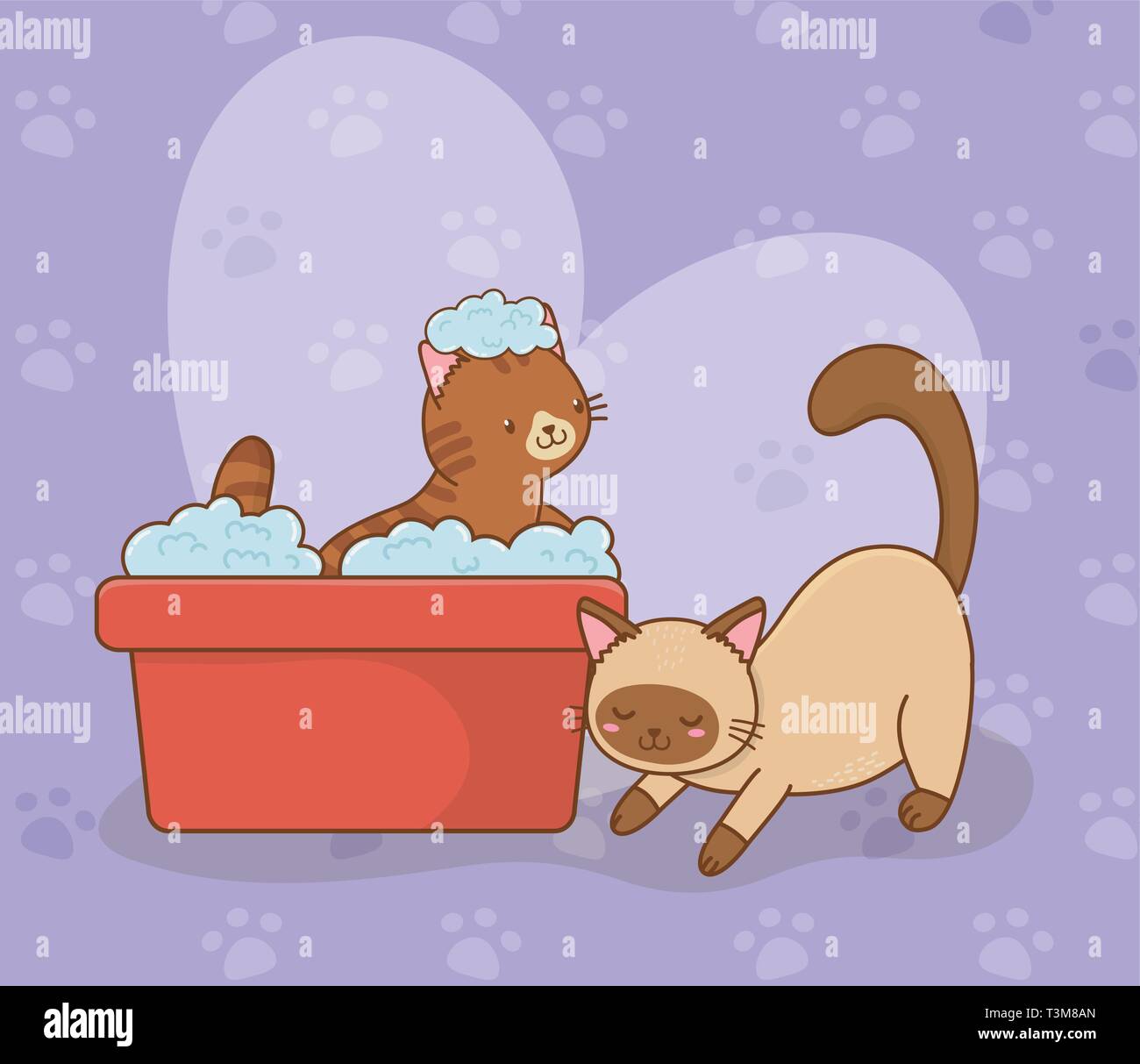Washing animals Stock Vector Images - Alamy