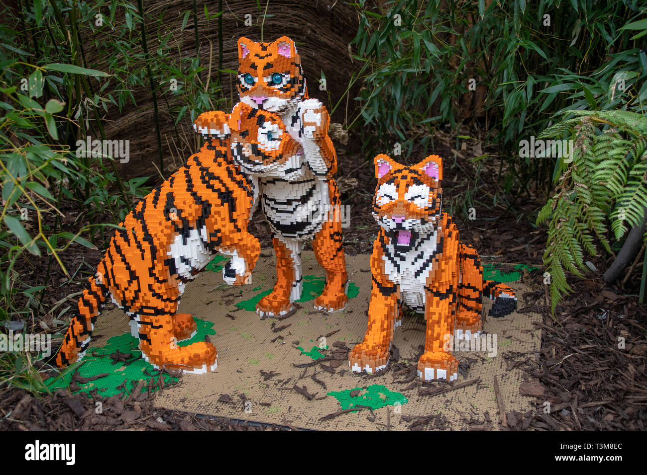 Tiger made of lego hi-res stock photography and images - Alamy