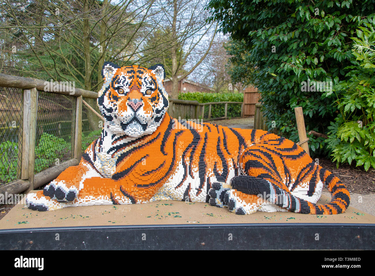 CHESTER, UNITED KINGDOM - MARCH 27TH 2019: A Tiger statue made from ...