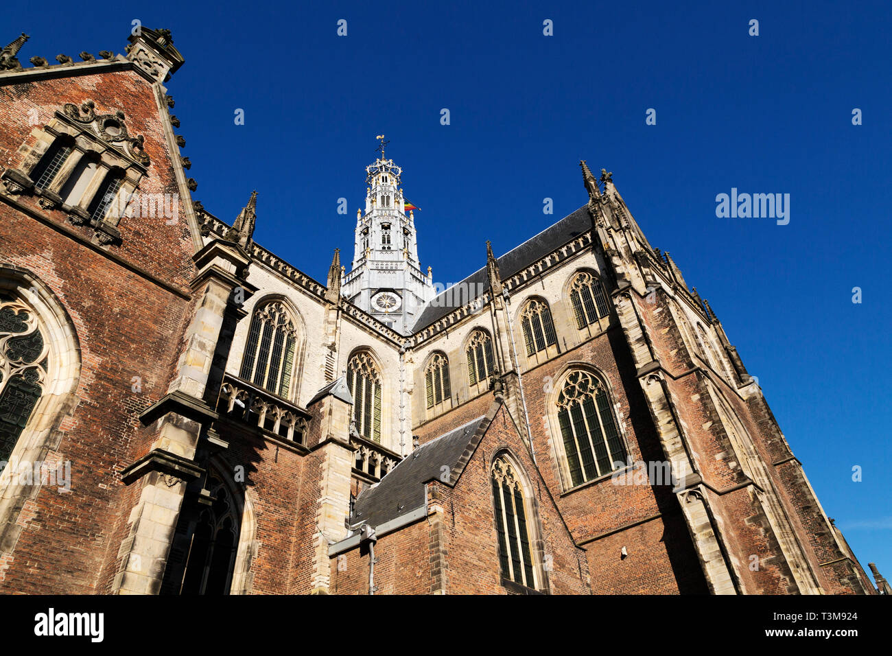 Tower of the St Bavo Church in Haarlem, the Netherlands. The church ...