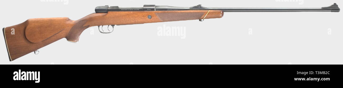 Civil long arms, modern systems, repeating rifle Hi-Power rifle Mauser ...