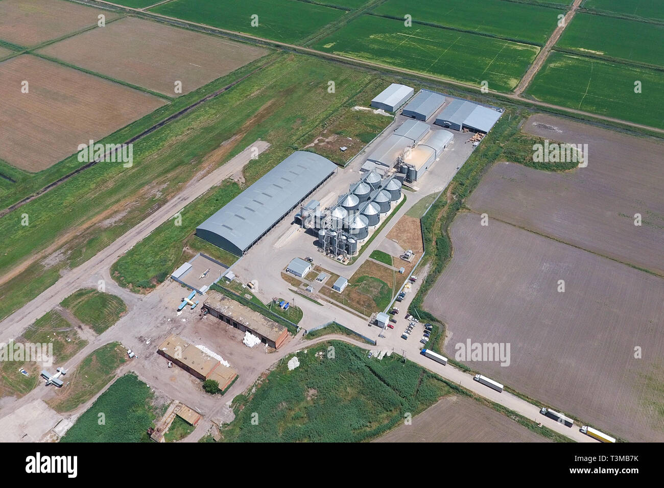Plant for the drying and storage of grain. Rice plant in the middle of ...