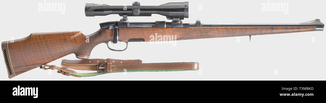 Civil long arms, modern systems, repeating full stock rifle Steyr ...