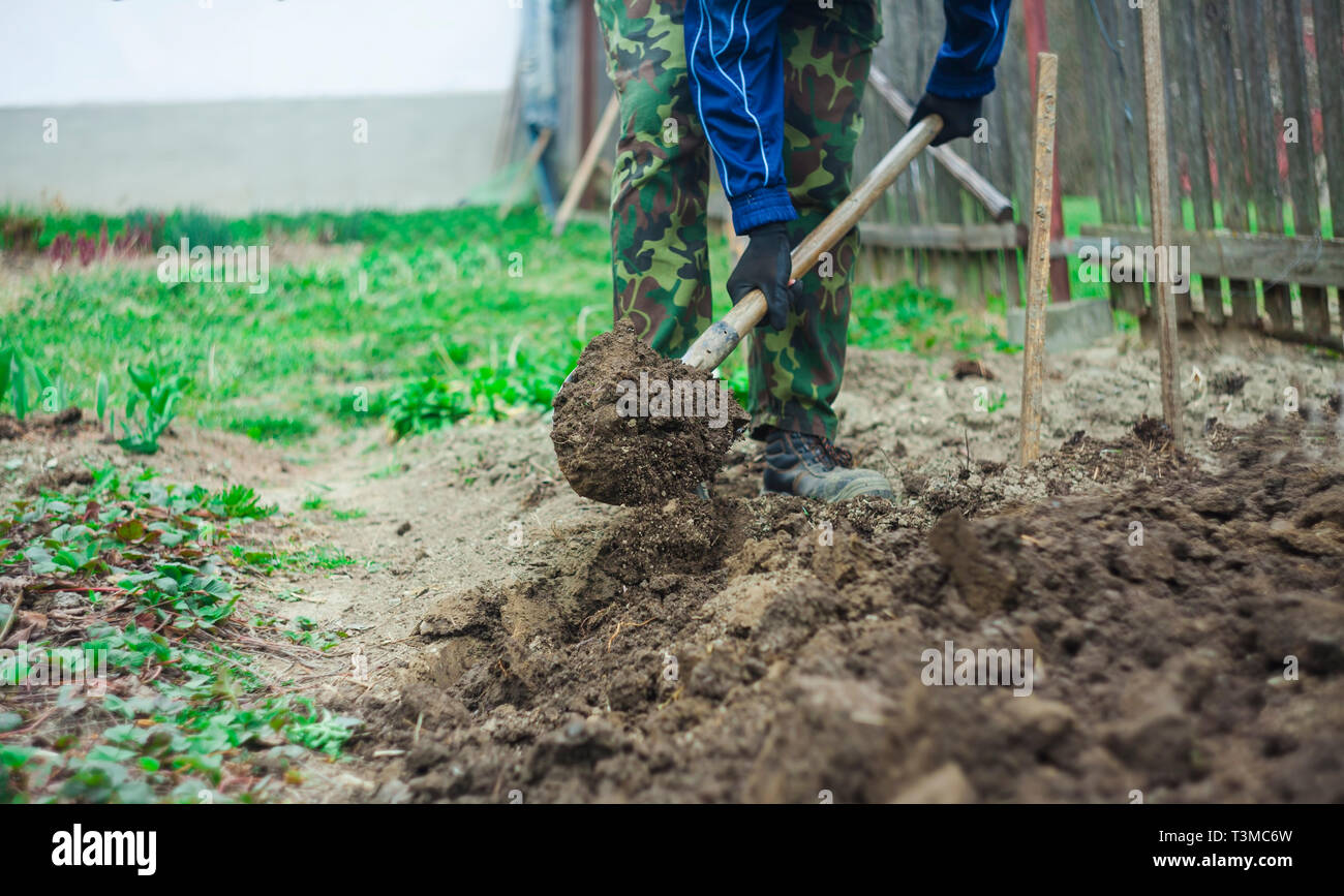 Farmer working in agriculture hi-res stock photography and images - Alamy