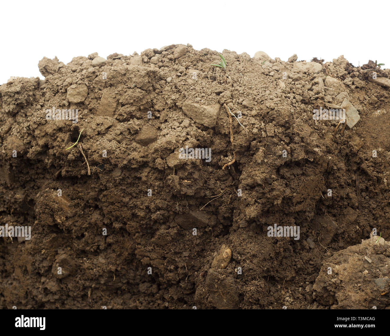 section in the soil or dirt isolated on white Stock Photo - Alamy