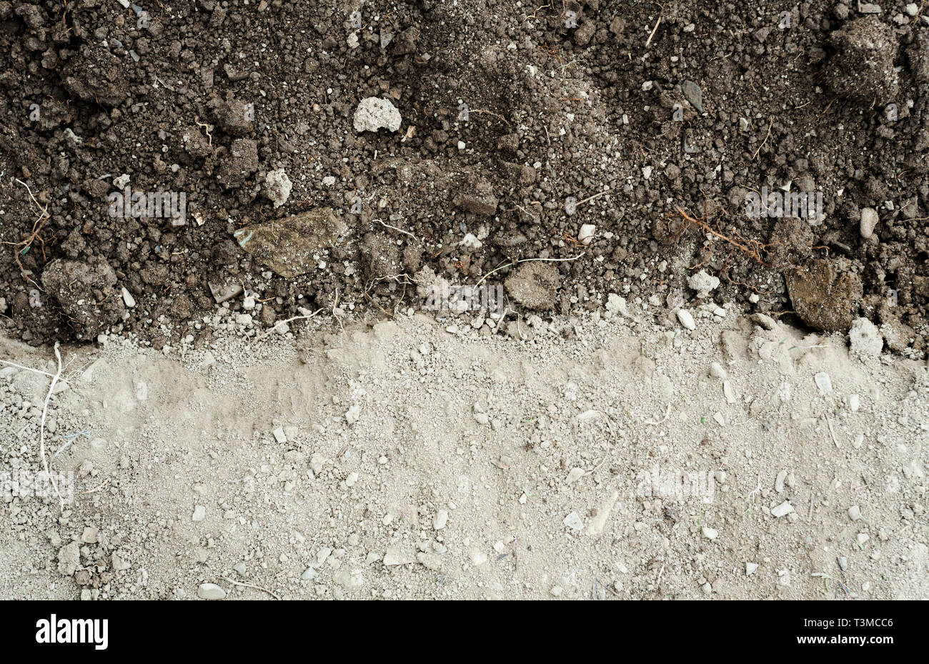 texture of dirt or soil Stock Photo - Alamy