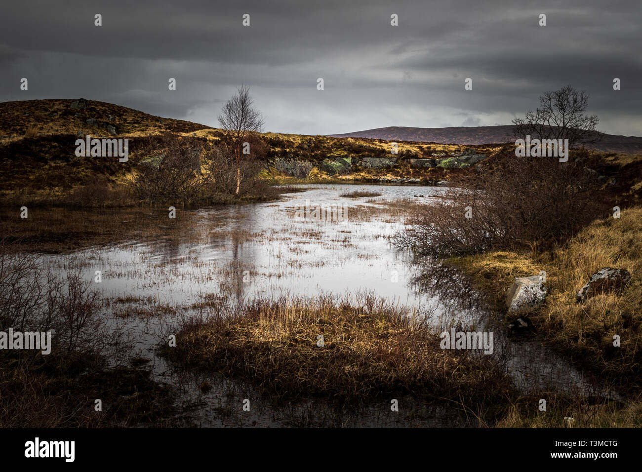 Scottish moor sunset hi-res stock photography and images - Alamy