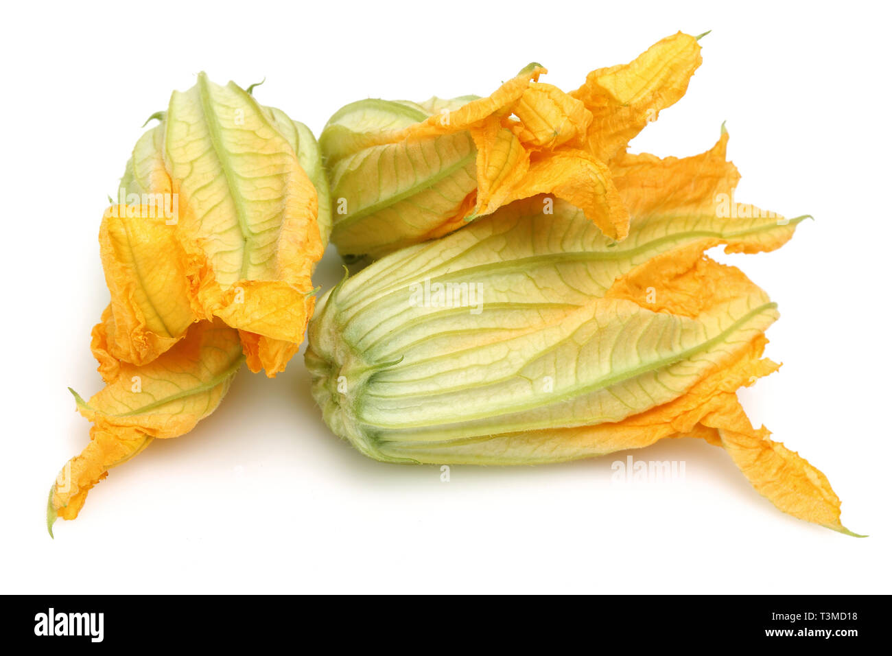 Squash Blossoms isolated on white background Stock Photo - Alamy