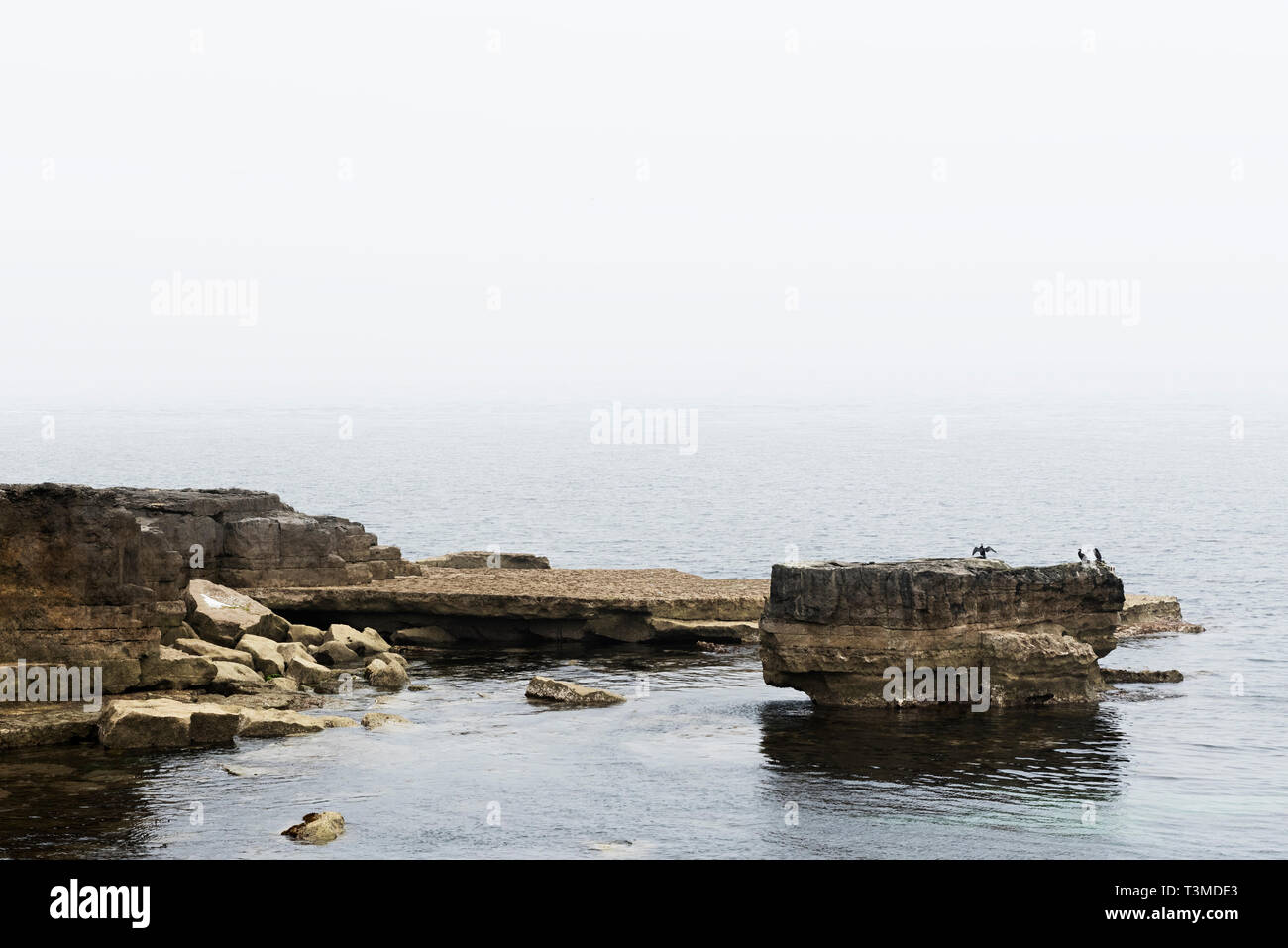 Portland nature hi-res stock photography and images - Alamy