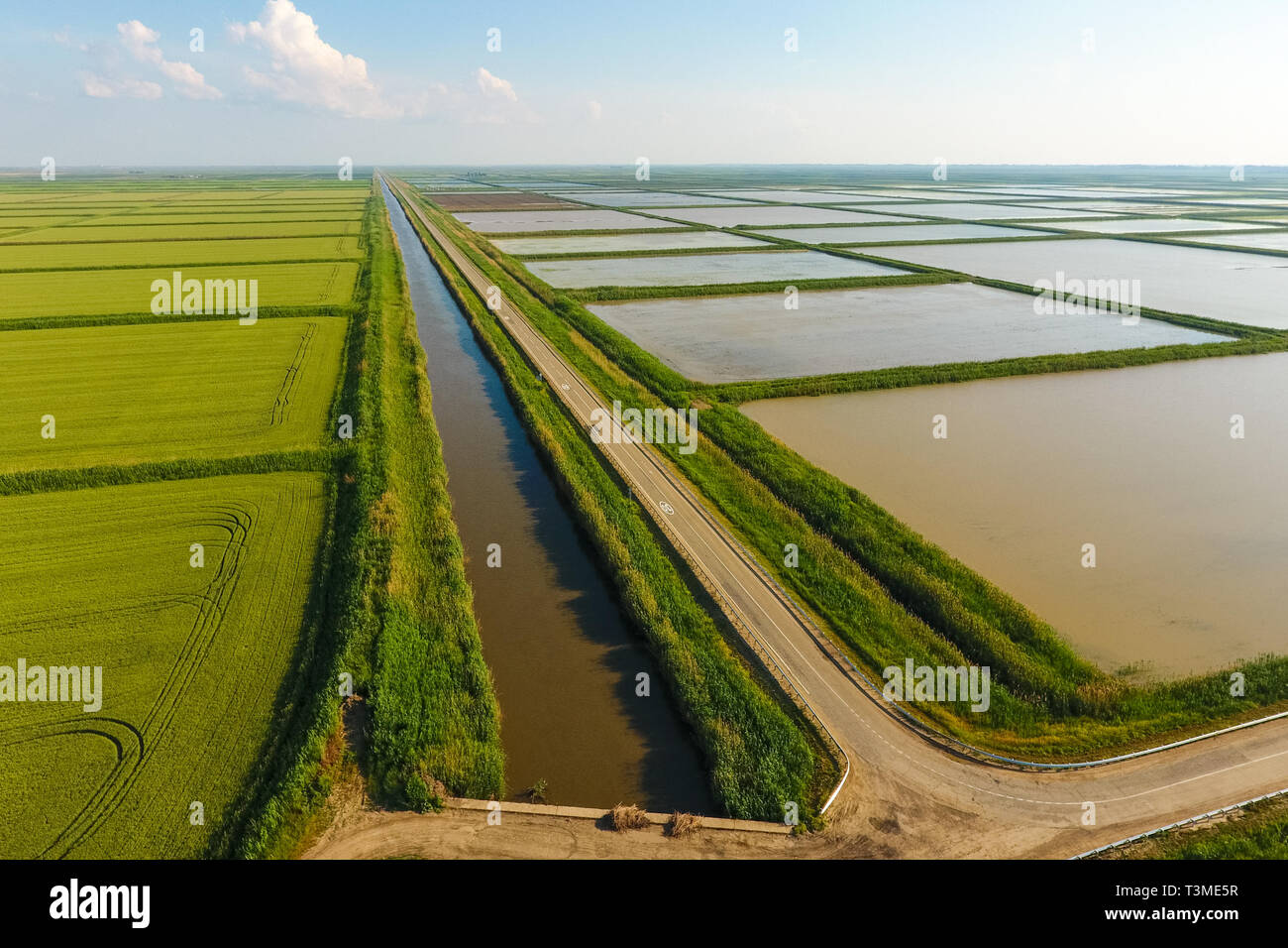 The rice fields are flooded with water. Flooded rice paddies. Agronomic ...