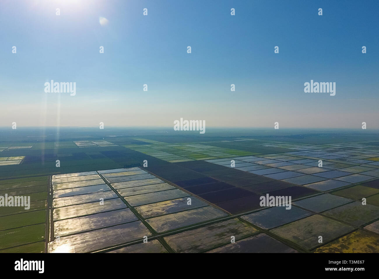 The rice fields are flooded with water. Flooded rice paddies. Agronomic ...