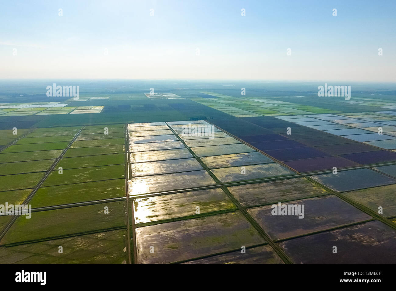 The rice fields are flooded with water. Flooded rice paddies. Agronomic ...