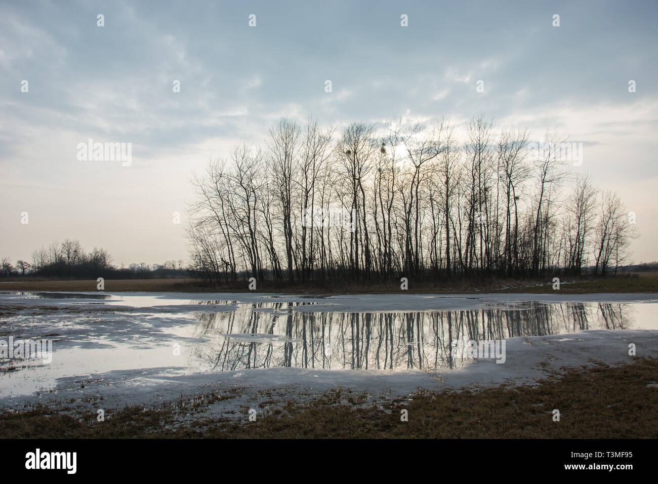 Thaw period hi-res stock photography and images - Alamy