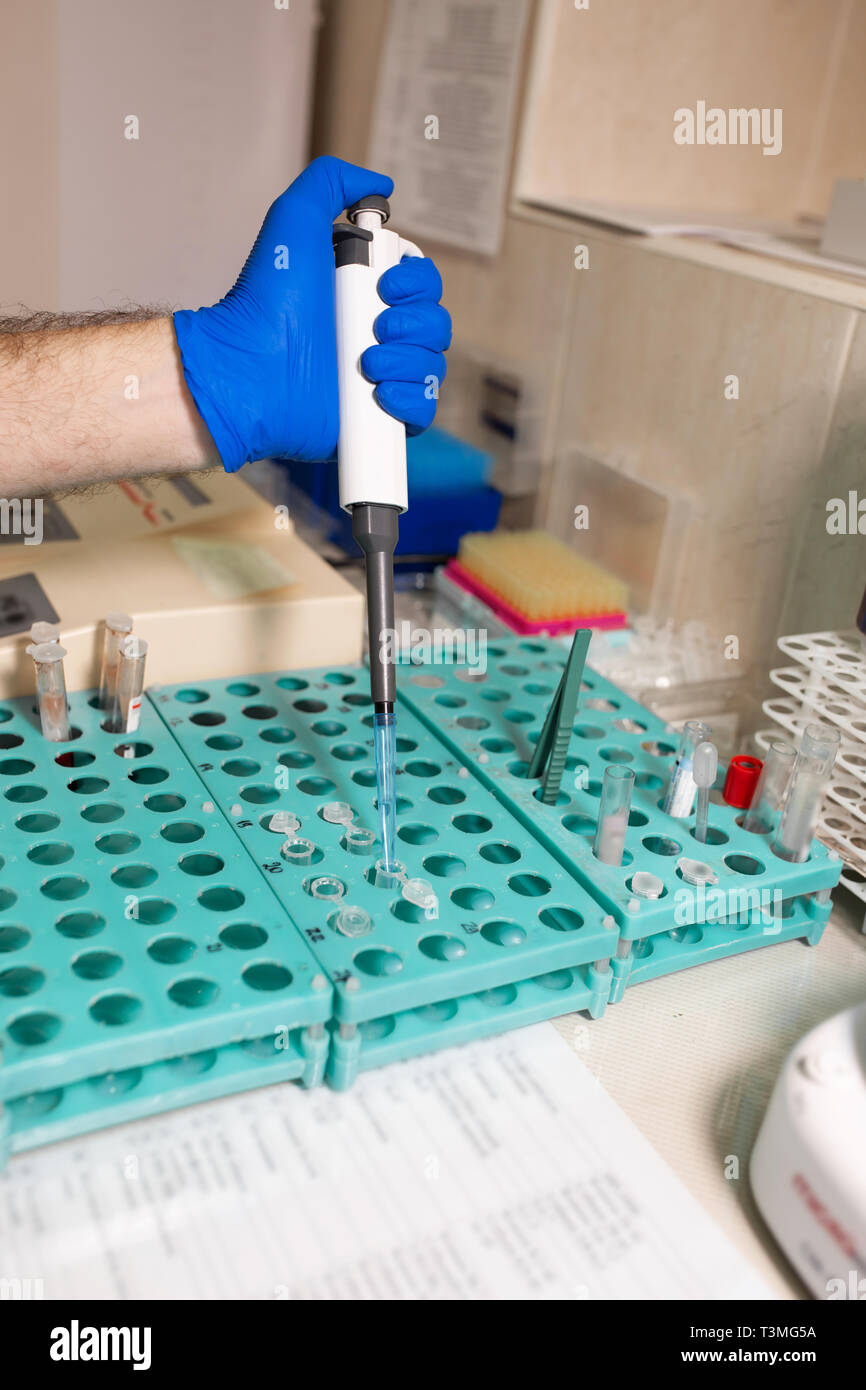 laboratory assistant analyzing a blood sample using micropipette Stock ...