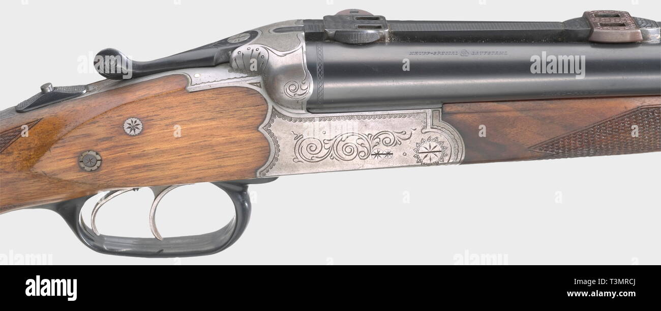 Civil long arms, modern systems, drilling combination gun, Sauer & Sohn ...