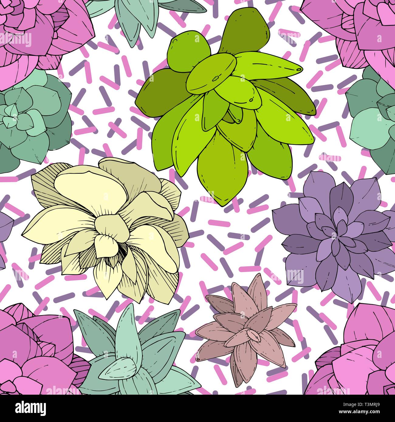 Vector Succulents floral botanical flower. Engraved ink art. Seamless ...