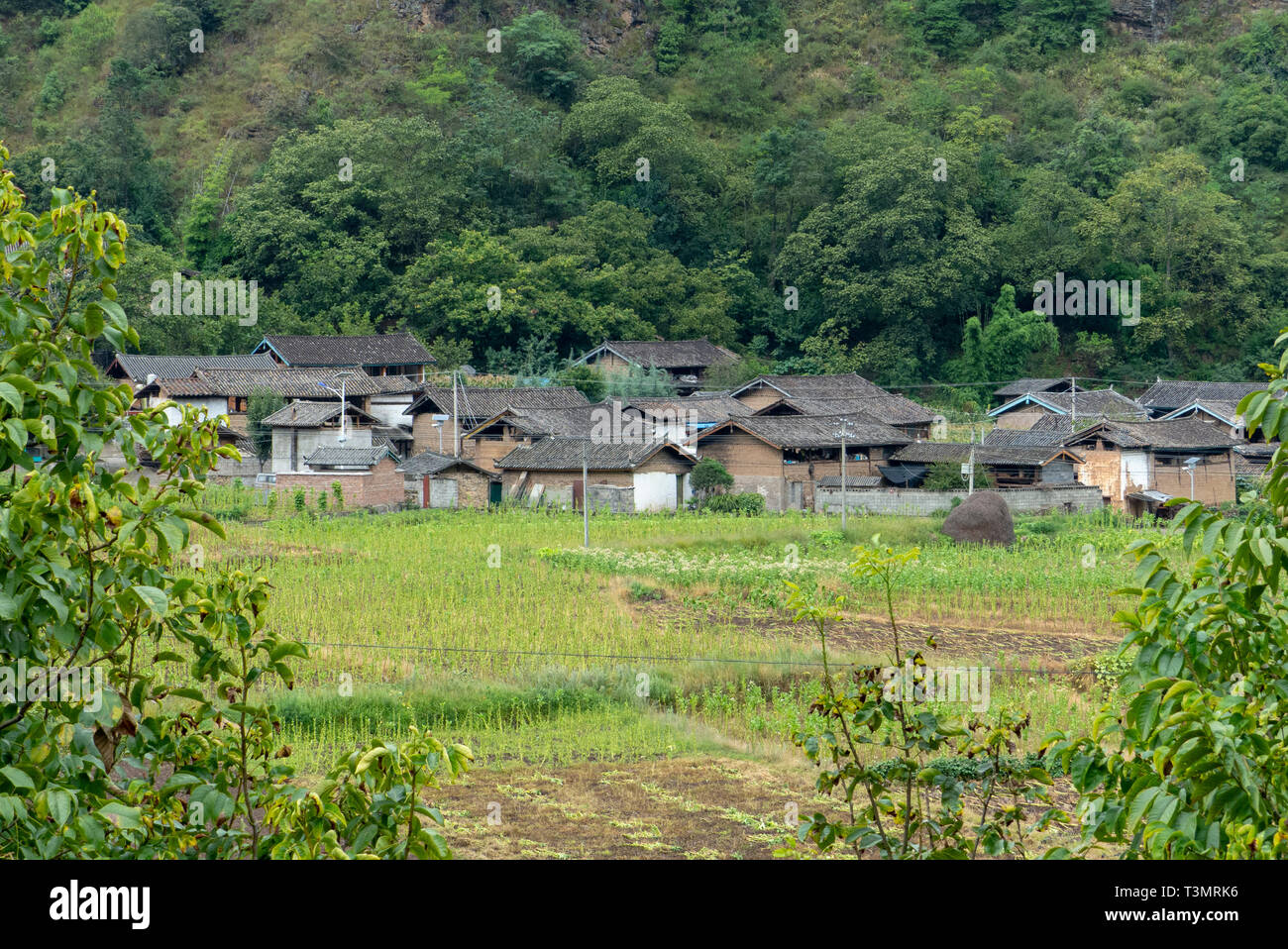 Traditional town of Shigu, Yulong County, Yunnan, China Stock Photo - Alamy