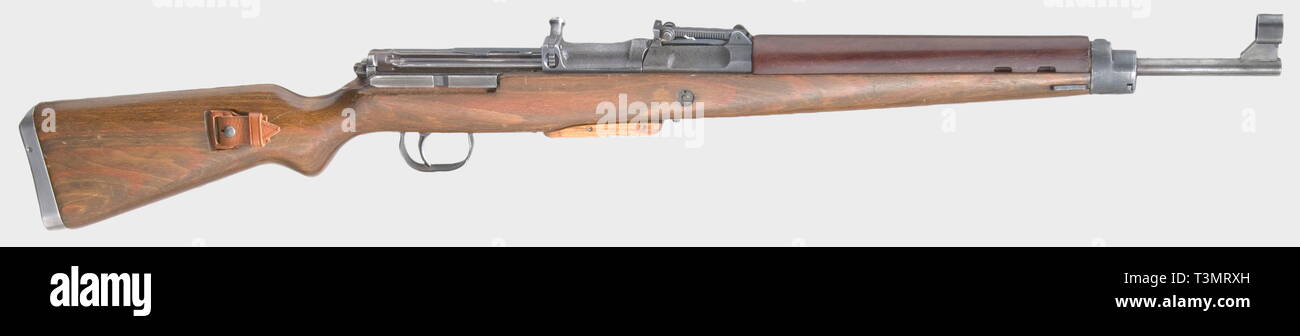 Civil long arms, modern systems, automatic rifle G 43, Code ac 44 ...