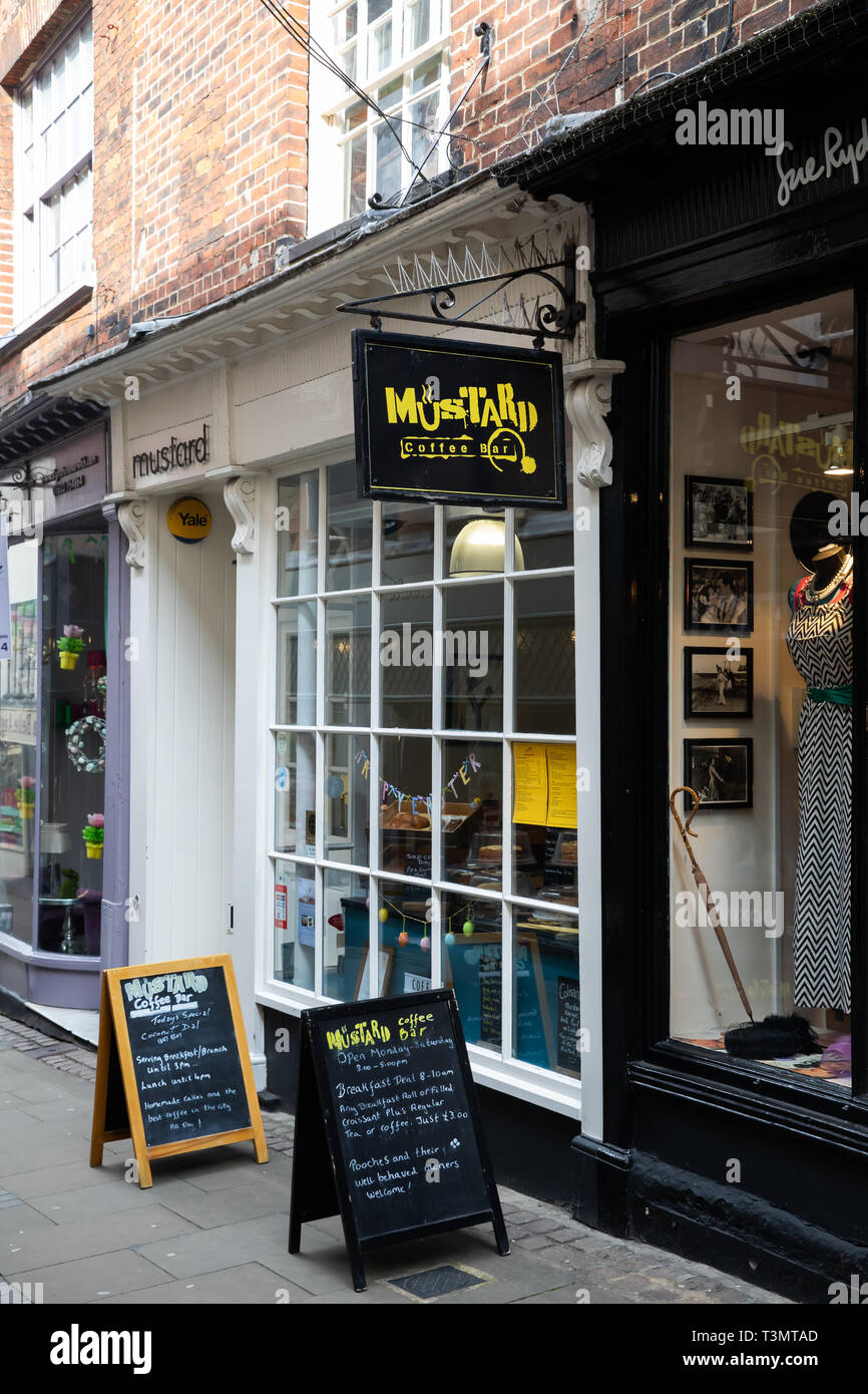 Mustard Coffee Bar in the heart of the Lanes in Norwich Norfolk Stock ...