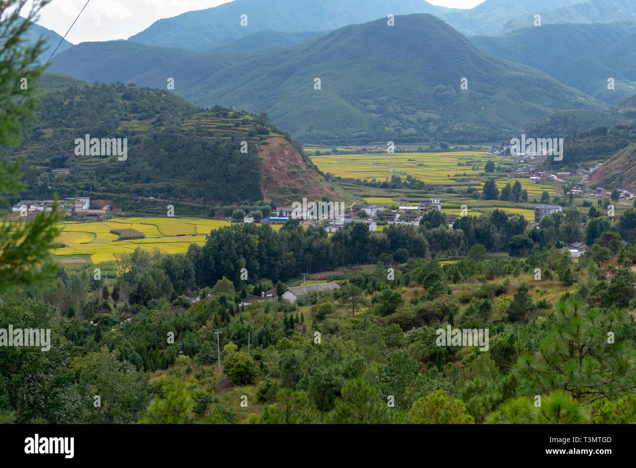 Honghe Hani Rice Terraces is the terrace located in the Honghe ...