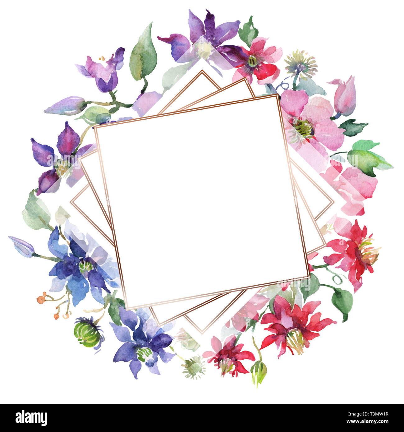 Clematis bouquet floral botanical flowers. Watercolor background ...