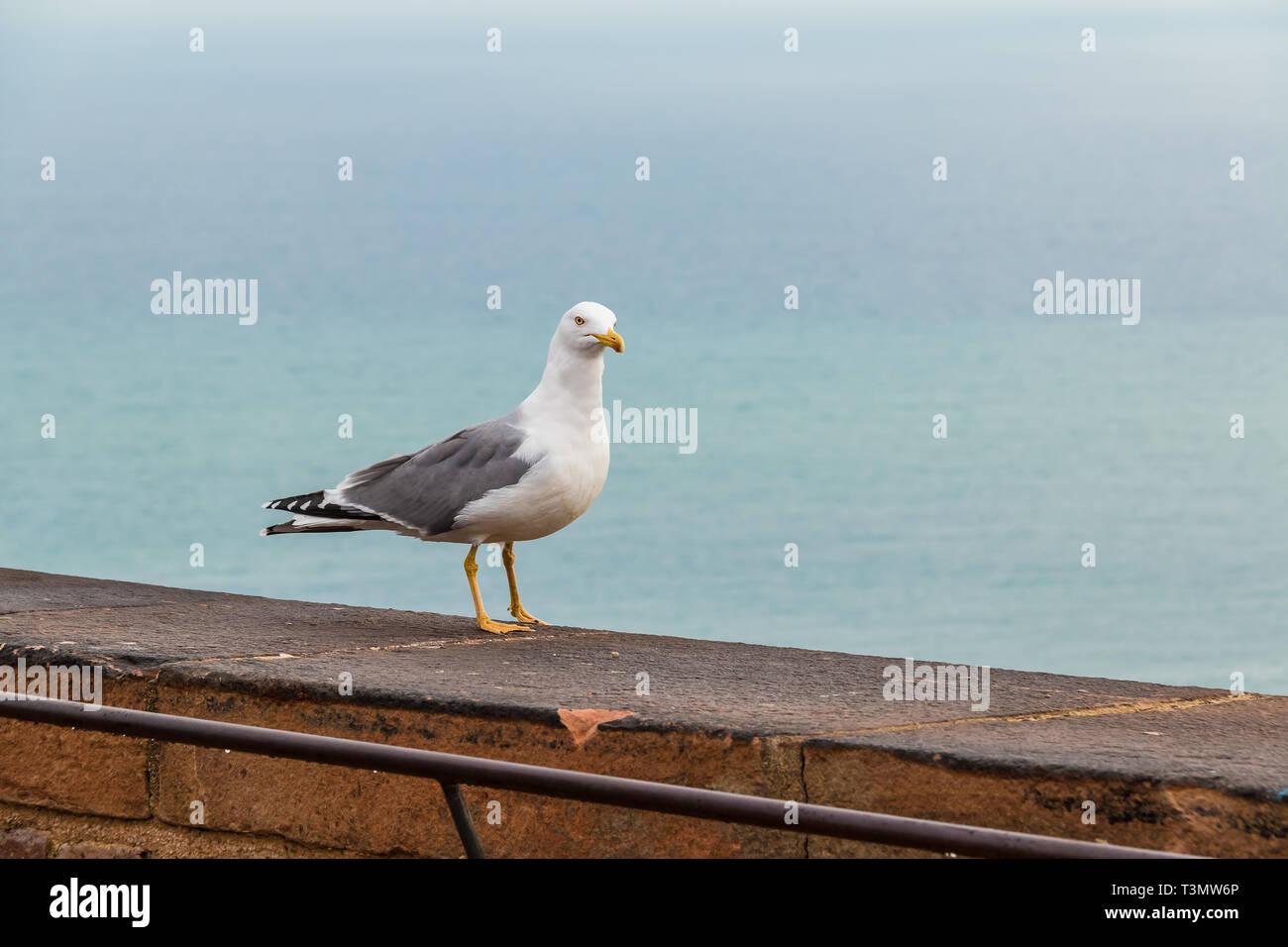 Parapet rock hi-res stock photography and images - Alamy