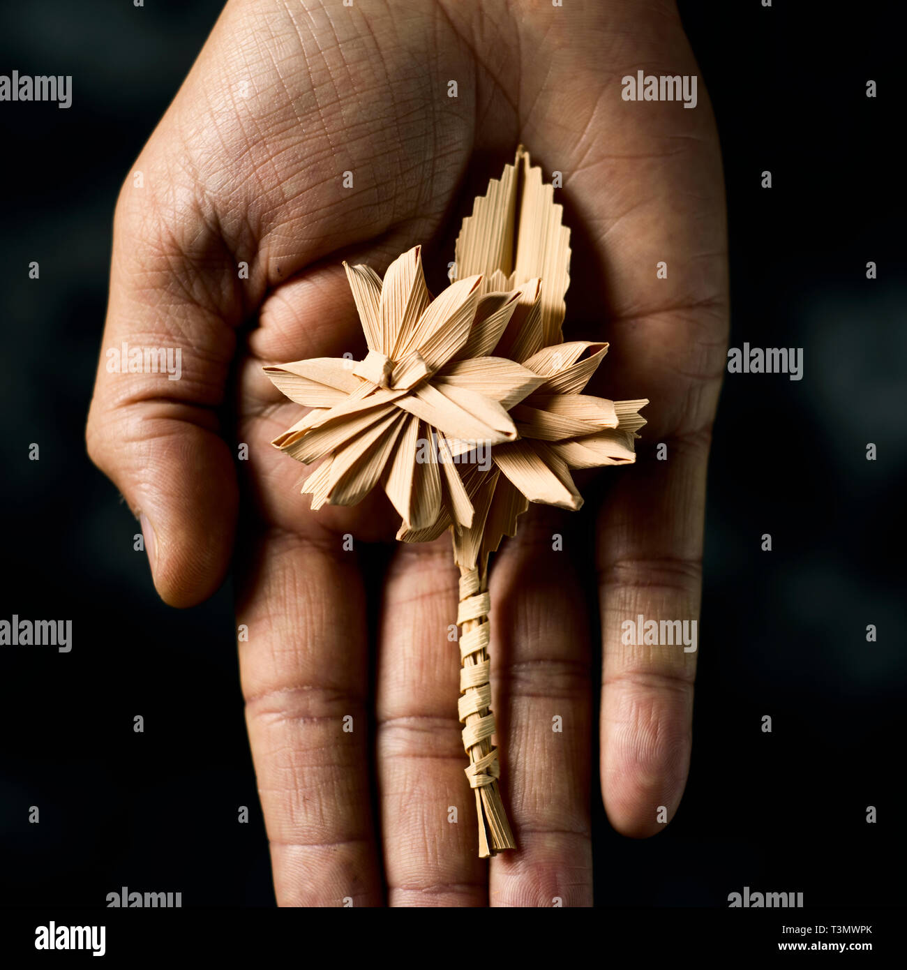 closeup of a traditional Spanish braided palm leaf, to be blessed on ...