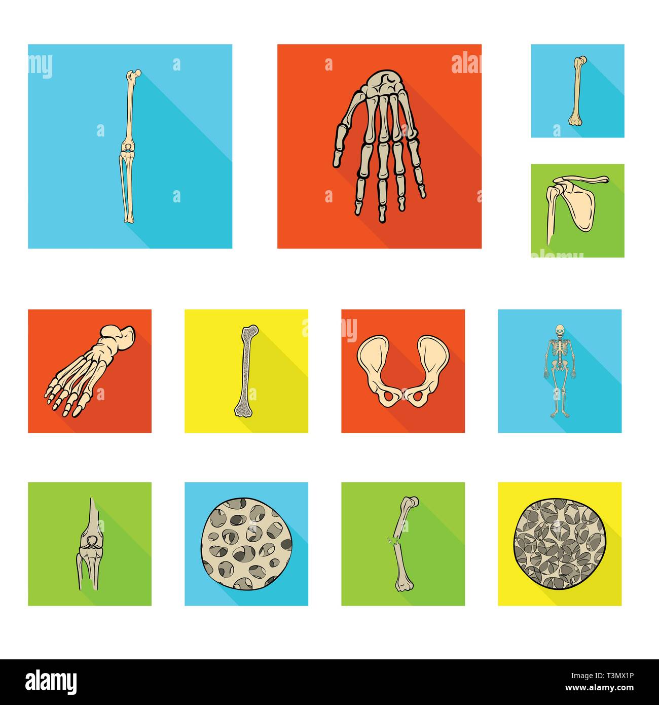 Vector design of bone and skeleton symbol. Set of bone and human stock ...