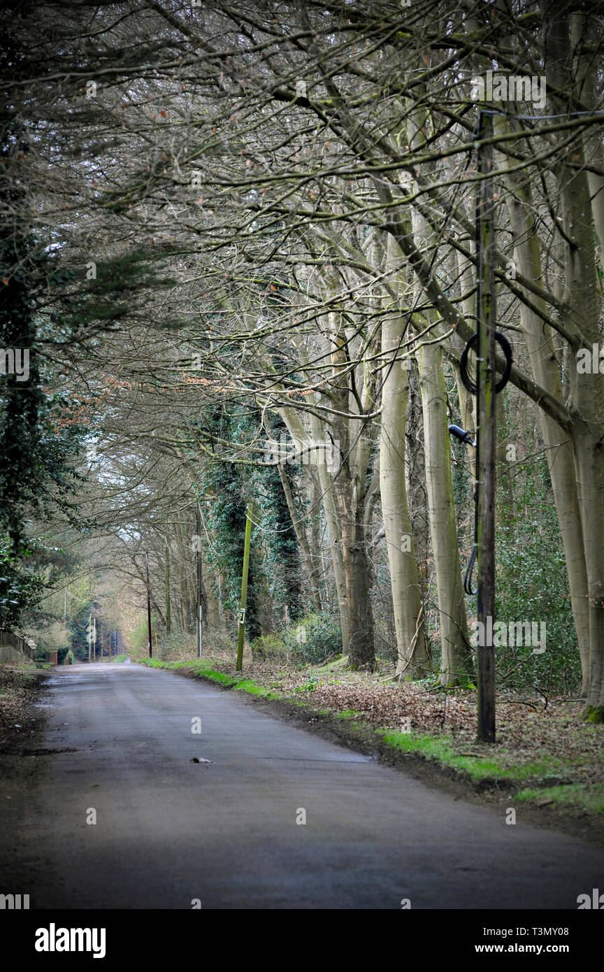 Rural power distribution hi-res stock photography and images - Alamy