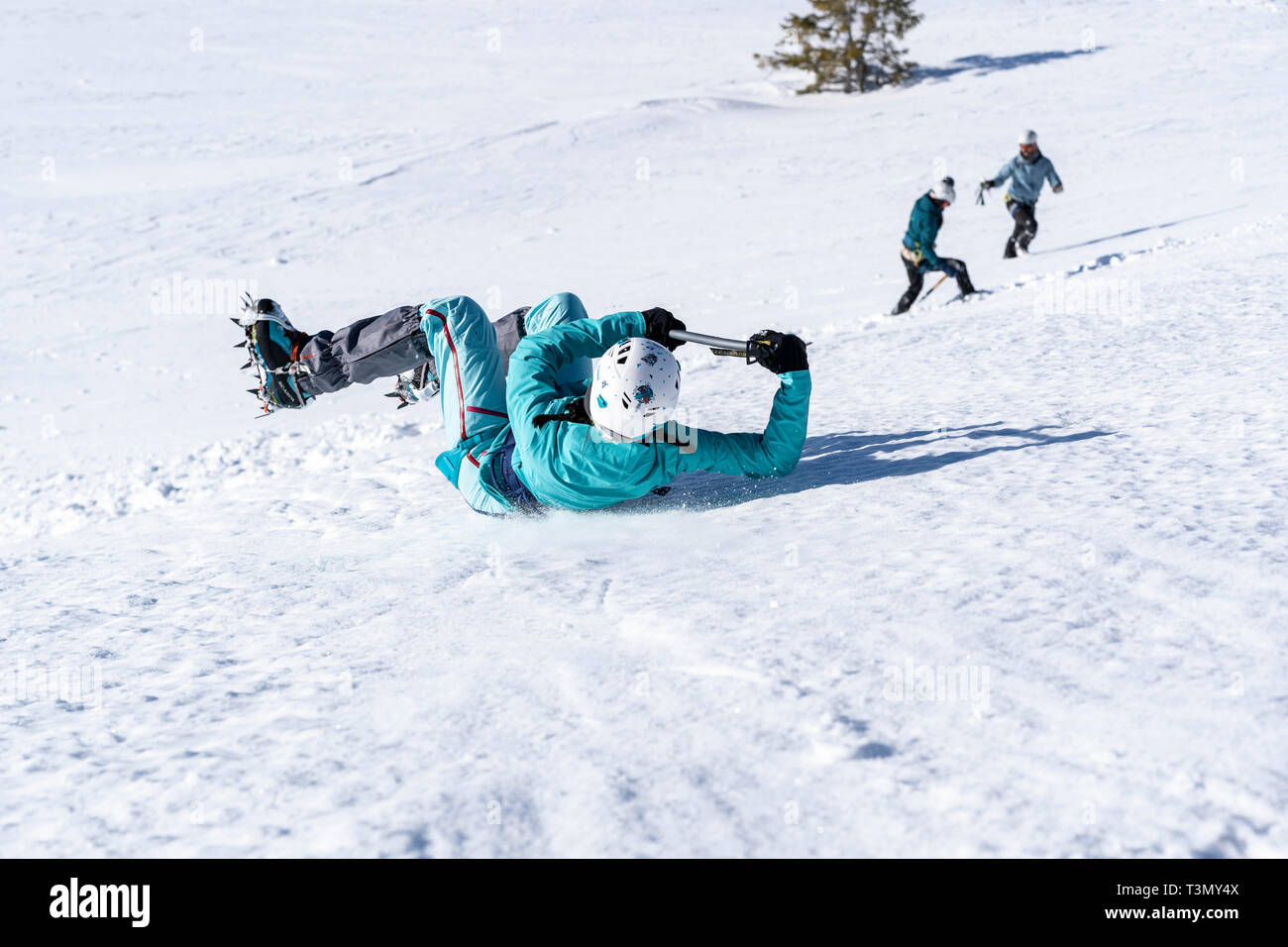 Climber practices self arrest with ice ax at mountaineering school ...