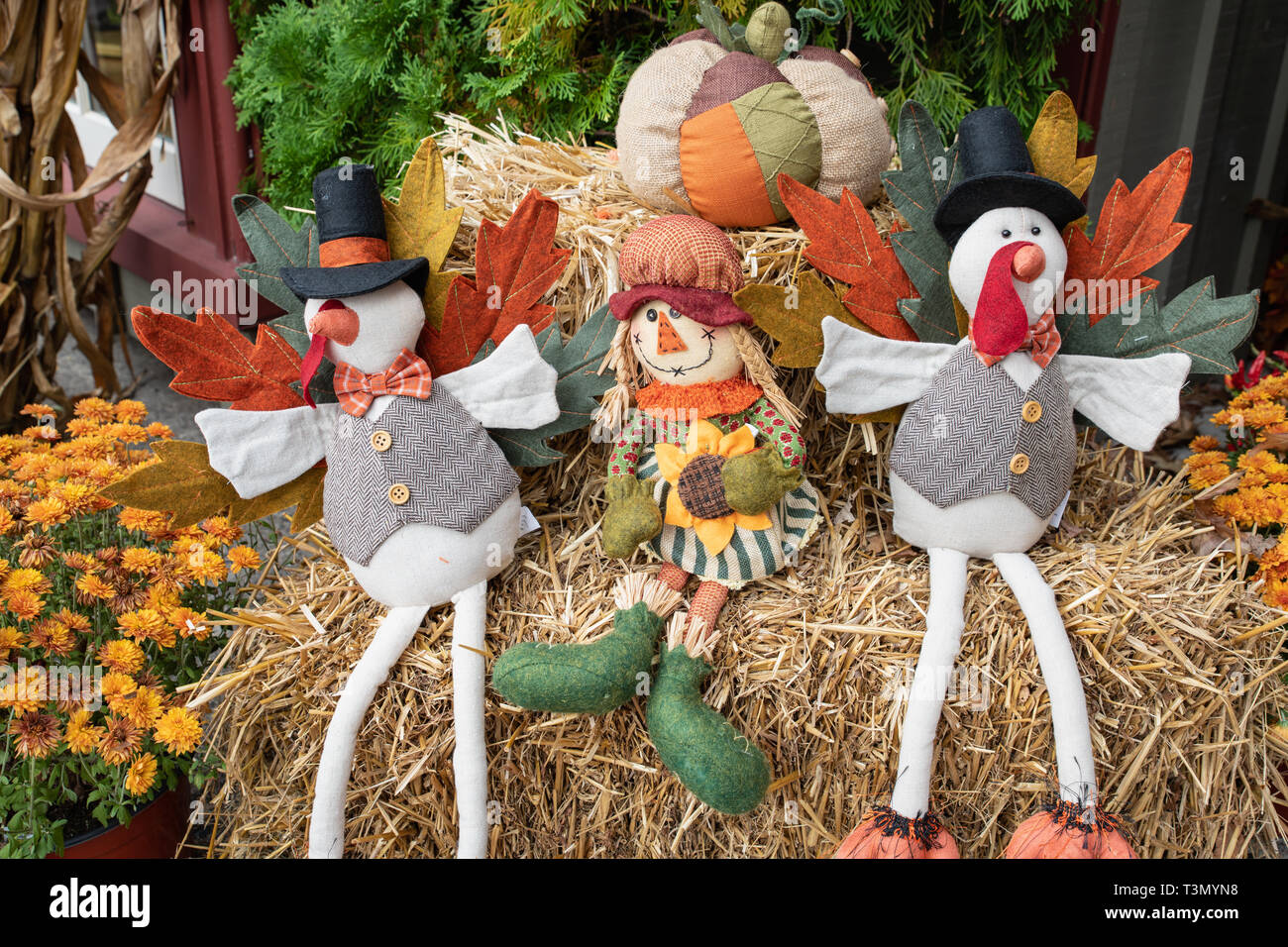 cheerful autumn display with straw bale scarecrow doll and turkey dolls ...