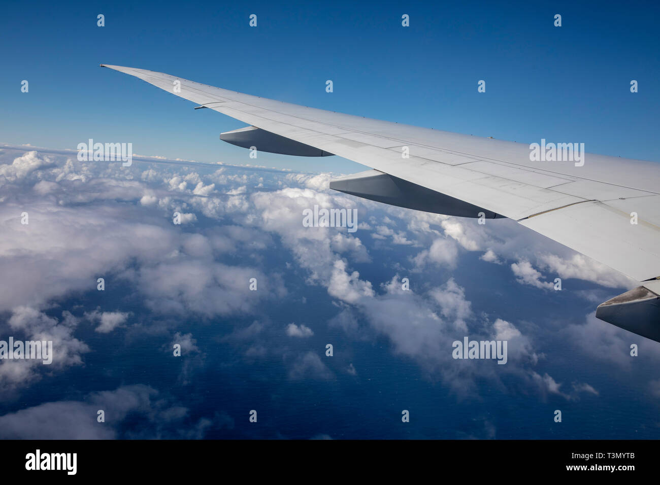 Boeing 787 dreamliner interior hi-res stock photography and images - Alamy