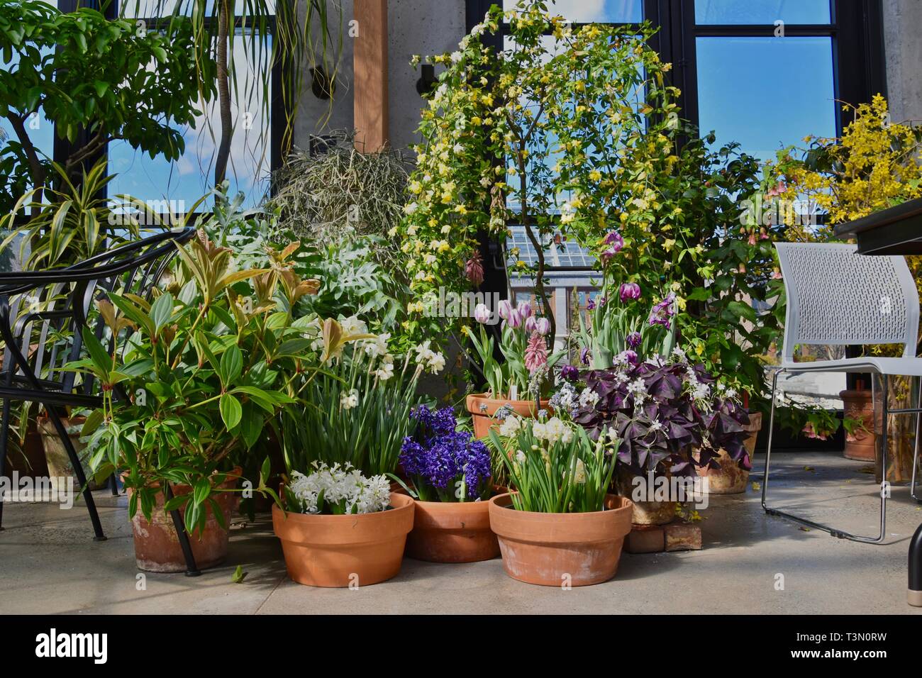 The greenhouse at Tower Hill Botanical Gardens by the Worcester County ...