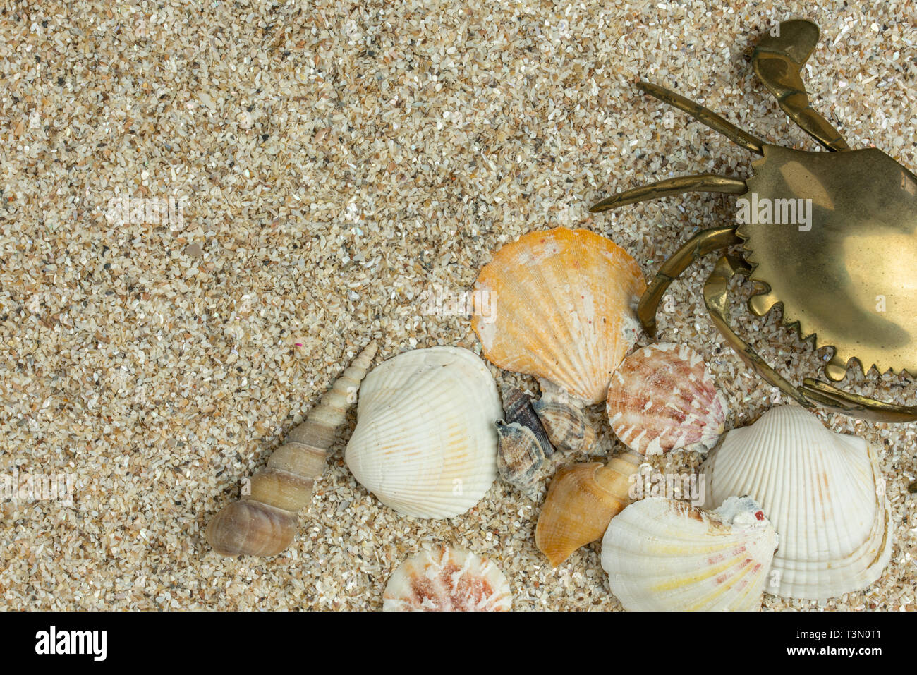 beach scene background with brass crab coming in from the right and ...