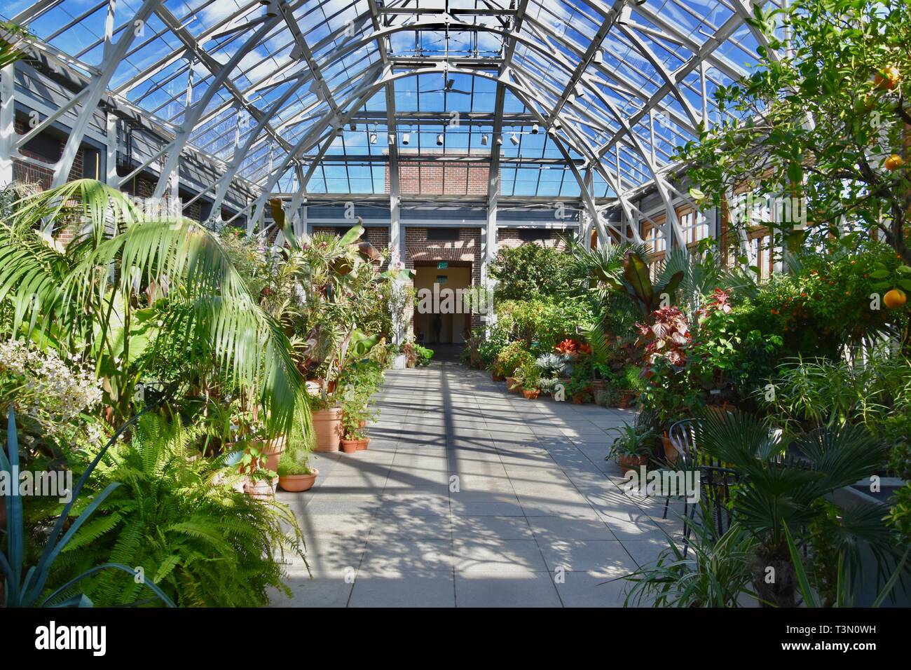The greenhouse at Tower Hill Botanical Gardens by the Worcester County ...
