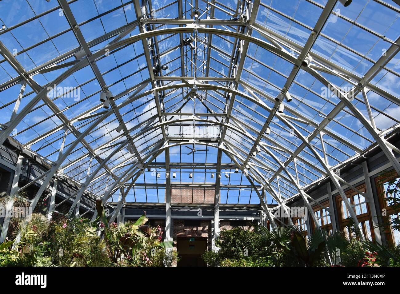 Worcester county horticultural society hi-res stock photography and ...