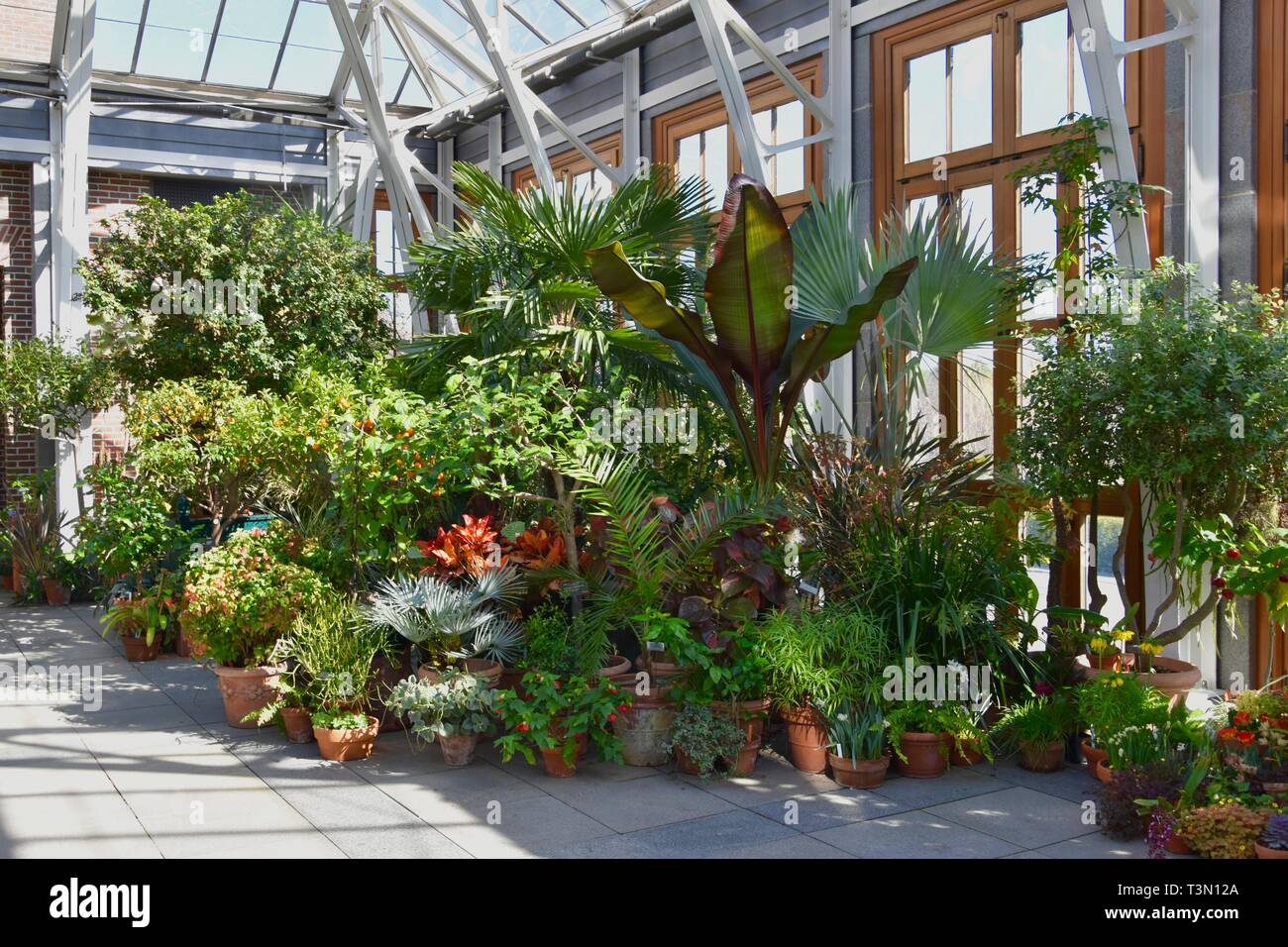 The greenhouse at Tower Hill Botanical Gardens by the Worcester County ...