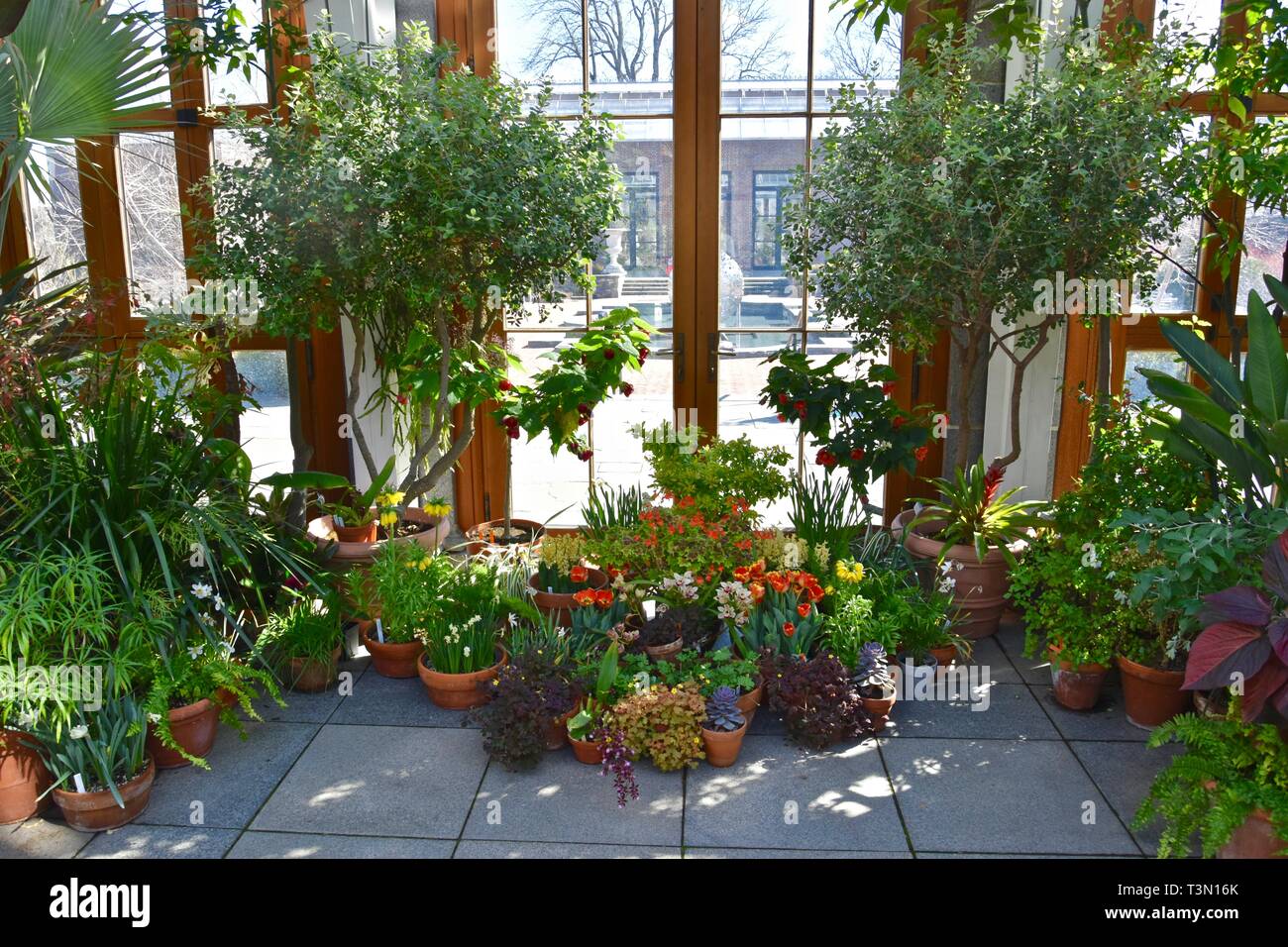 Worcester county horticultural society hi-res stock photography and ...